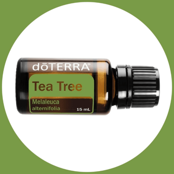 TEA TREE – doTERRA